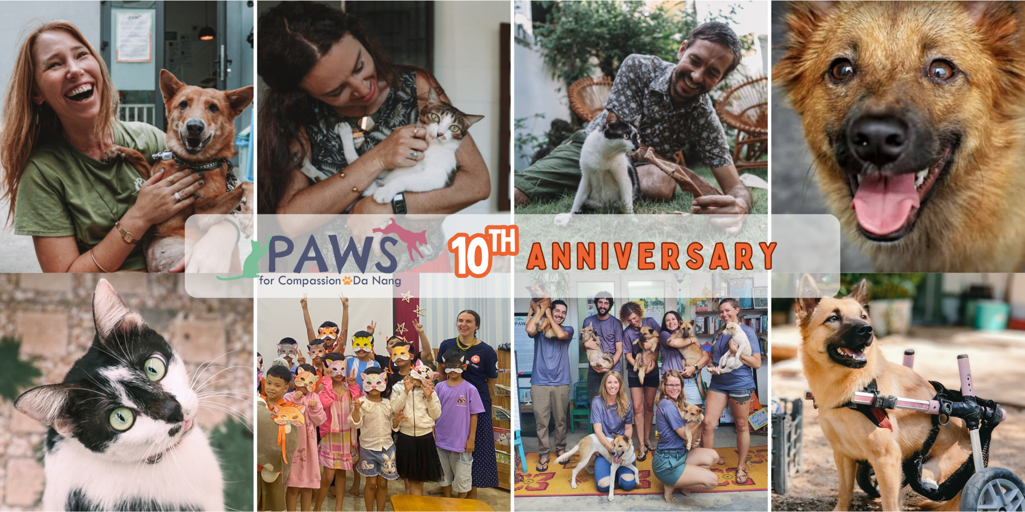 Paws Rescue Diaries: May 2025 - Paws'10th anniversary - Paws for Compassion